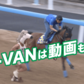 なかやまきんに君出演！JRAシステムサービス 『JRA-VAN』CM | ニコニコニュース